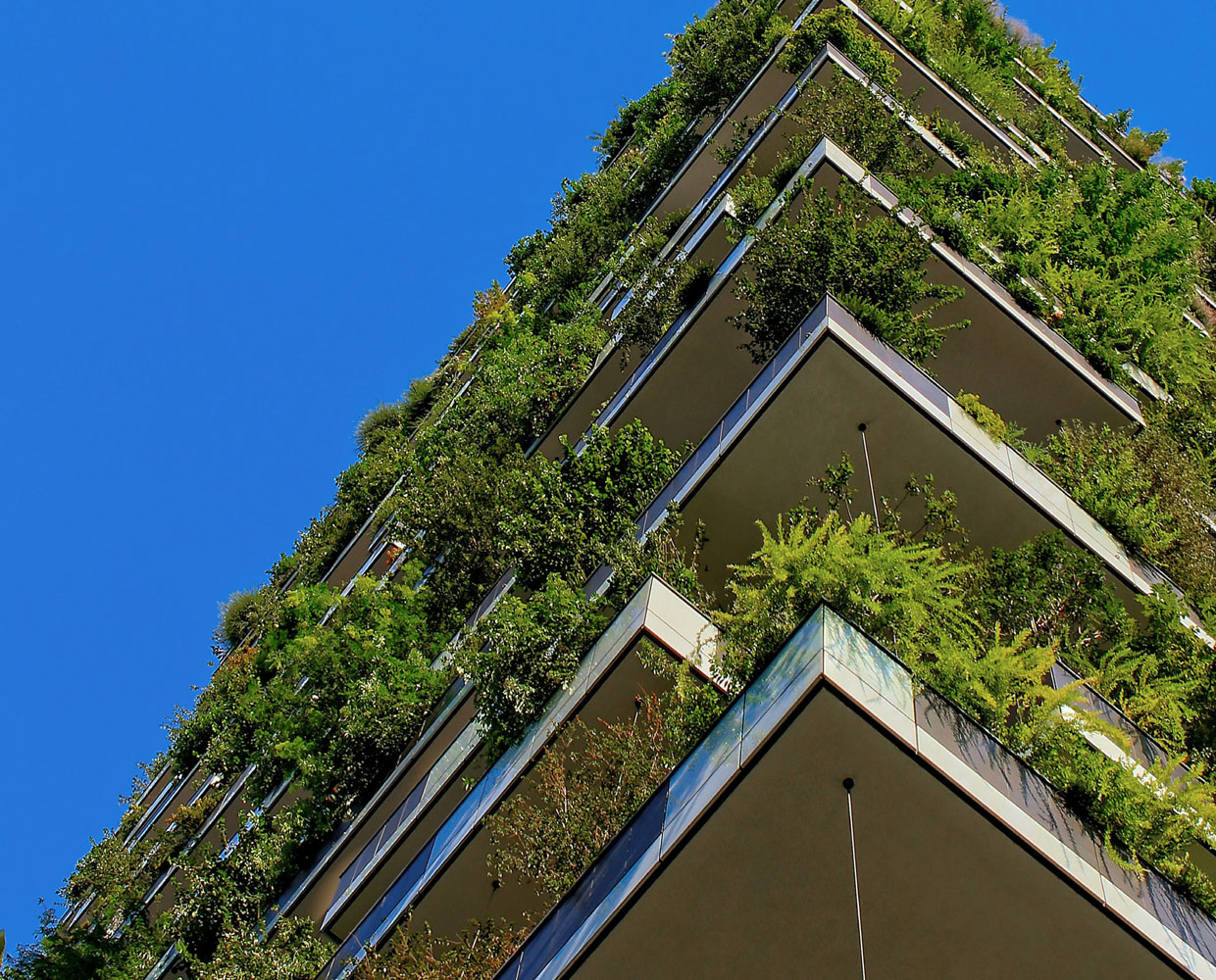 Slattery Carbon Planning Service Endorsed by Green Building Council of ...